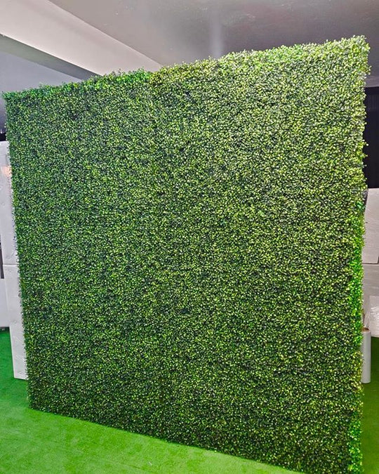 HEDGE Wall doble – Lounge Party Rentals